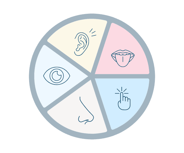 Sensory Resource Hub · Self-Care Tools, Workbooks & Resources ...