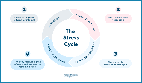 Completing the Stress Cycle | Neurodivergent Insights