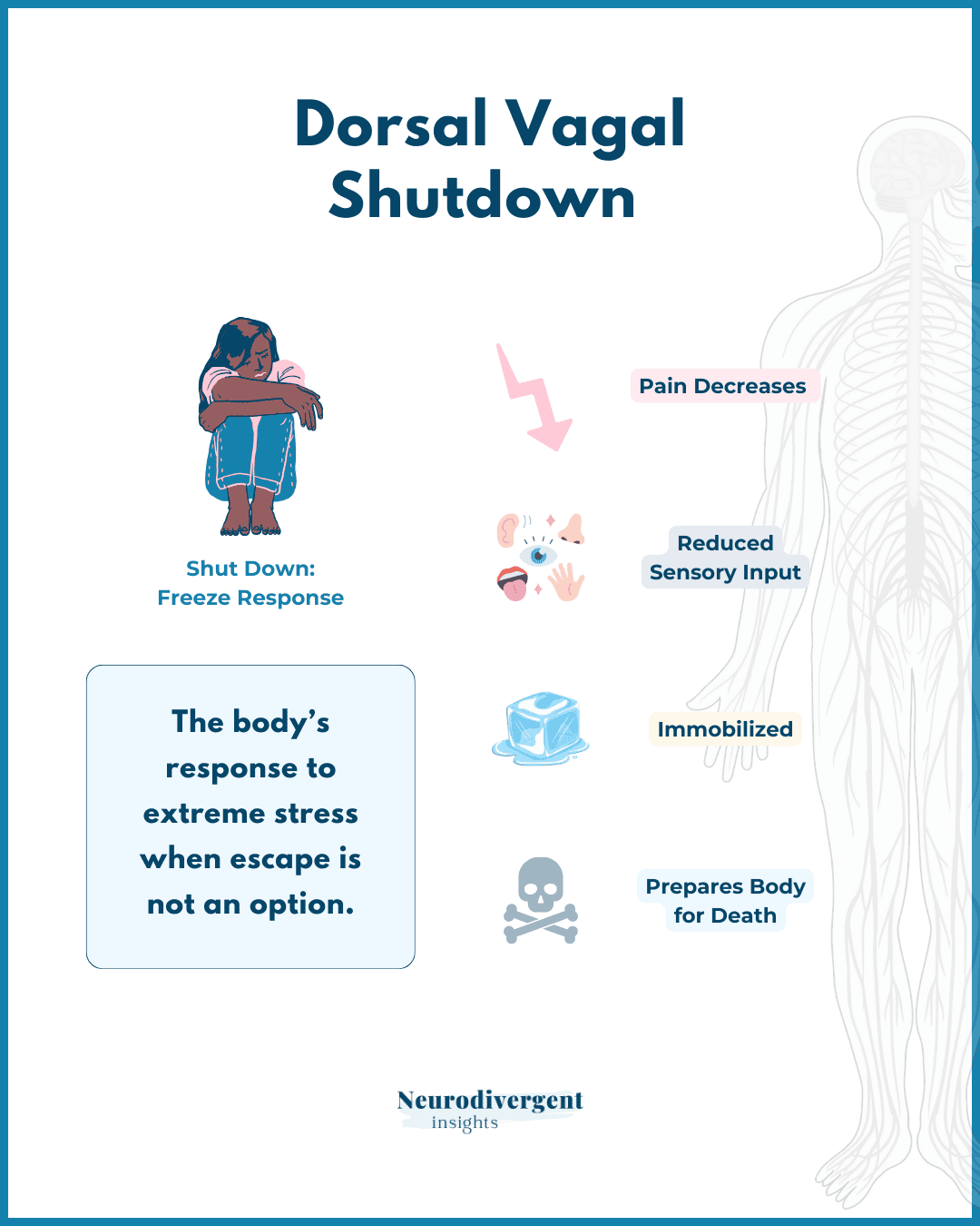Dorsal Vagal Shutdown | Neurodivergent Insights